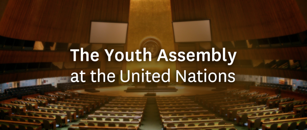 United Nations Youth Assembly - SKLB